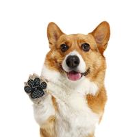 China Anti Slip Anti Scald Dog Paw Pad Stickers Customized Paw Pad Traction Stickers for sale