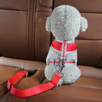 China Colorful Adjustable Car Dog Leash Customized Pet Seat Belt Leash for sale