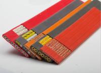 China UL21016 XLPE Insulated Flat Ribbon Cable 2-150 Core 40-10 AWG 300V 105°C VW-1 Rated for sale