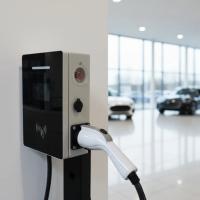 China 44kW Dual-Port AC EV Charger with Smart Load Balancing and Type 2/GBT Interface for Commercial Use for sale