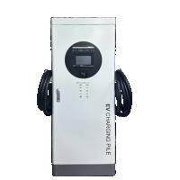 China 240kW DC Fast Charging Station with Multi-Standard CCS2 CHAdeMO GBT and Advanced Cooling System for sale