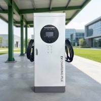 China 120kW Dual Connector DC Fast Charger for Highway Rapid Charging EV Power Pile for sale