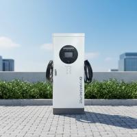 China 120kW Dual Connector DC Fast Charger for Highway Rapid Charging EV Power Pile for sale