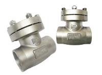 China CF8 CF3 Stainless Steel Cryogenic Swing Check Valve DN10-100mm PN40MPa for LNG Systems for sale