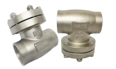 China DN15 PN40 Swing Type Non Return Valve - Stainless Steel Cryogenic Check Valve for LNG Applications for sale