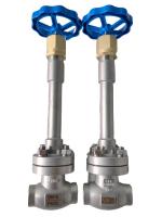 China Manual Operation DN15 PN25 Cryogenic Globe Valve Stainless Steel for sale