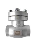 China Stainless Steel DN25 PN25 Cryogenic Check Valve Disc Shaped OEM For LNG for sale