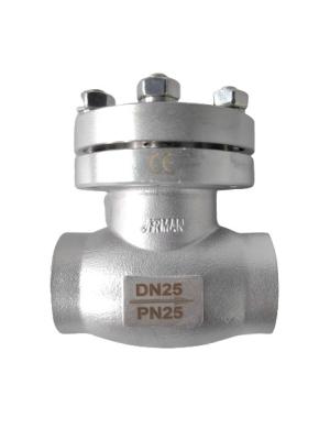 China Stainless Steel DN25 PN25 Cryogenic Check Valve Disc Shaped OEM For LNG for sale