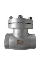 China OEM DN40 PN25 Cryogenic Check Valve Stainless Steel Disc Shaped For LNG for sale
