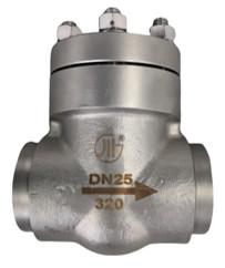 China Stainless Steel Cryogenic High Pressure Check Valve DN25 for sale