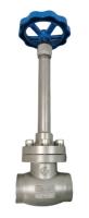 China Handwheel Operation Cryogenic Long Shaft Globe Valve DN15-DN50 PN50 with Stainless Steel Nut for LNG Applications for sale