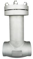 China Stainless Steel Cryogenic Insulation Check Valve SW Connection for sale