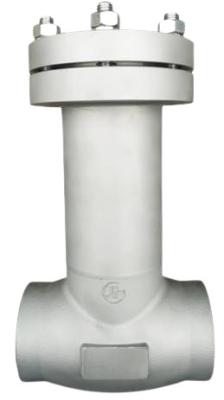 China Stainless Steel Cryogenic Insulation Check Valve SW Connection for sale