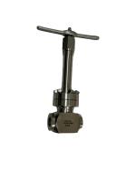 China Cryogenic High Pressure Globe Valve DN10-100mm For LNG/LOX/LN2 for sale
