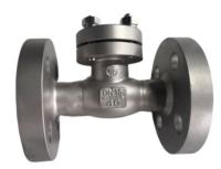 China PCTFE Disc Seal PN1.6-6.4 Pressure Check Valve DN10-250mm for sale