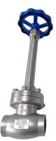 China SW Connection SS304 DN25 Cryogenic Globe Valve 5.0MPa Working Pressure for sale
