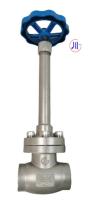 China SW SS304 Cryogenic Globe Valve for LNG/LCO2/LN2 for sale