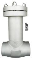 China ARMAN- Stainless Steel Cryogenic Insulation Check Valve SW Connection for sale