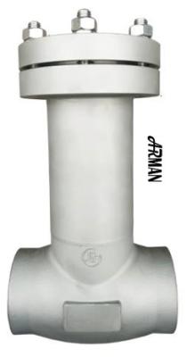China ARMAN- Stainless Steel Cryogenic Insulation Check Valve SW Connection for sale
