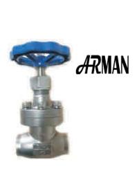 China DN10-DN100 Stain Steel Cryogenic Globe Valve For LNG/LO2/LN2/LAr for sale