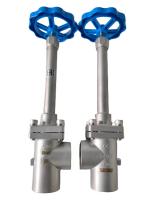China SW SS304 Cryogenic Long Stem Angle Globe Valve For LNG/LCO2/LN2 for sale