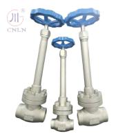 China CF3/CF8 Manual Cryogenic Globe Valve DN25/DN15 For LNG/LOX/LN2/LAR/LCO2 for sale