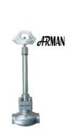 China DN10-100mm SS304 Long Stem Cryogenic Globe Valve For LNG/LO2/LN2/LAr for sale