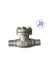 China BW Cryogenic Check Valve DN10-100mm with 4.0MPa Pressure for LNG/LOX/LN2 Applications for sale