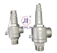 China Cryogenic Full Open Safety Valve DN15 DN25  Liquid Industrial Gas Valves -196~+80 for sale