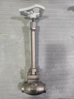 China Stainless Steel PN50 Low Temperature Long Stem Globe Valve for sale