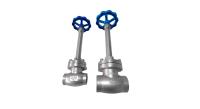 China Manual Cryogenic Shut-off Valve Socket Welding -196~+80 ℃ For LNG LOX LIN LAR LCO2 for sale