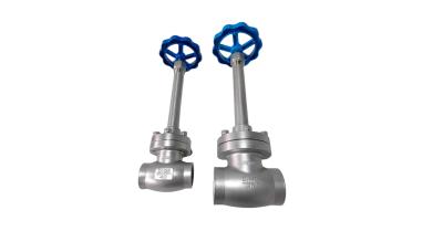 China Manual Cryogenic Shut-off Valve Socket Welding -196~+80 ℃ For LNG LOX LIN LAR LCO2 for sale