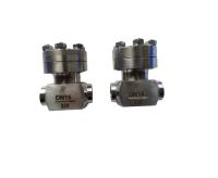 China Socket Welding Connection High Pressure Check Valve For Cryogenic Liquid Gases Lox Lng Lin PN320 Valve for sale