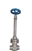 China PN50 Operation Pressure Cryogenic Globe Valve SS304 for Your Requirements for sale