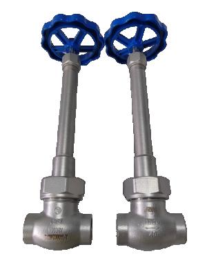 China DN32 Cryogenic Globe Valve Stainless Steel 304/316 for LOX PIPE TANK with -196°C to +80°C Temperature Range for sale