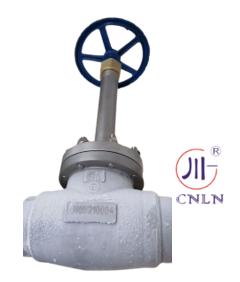 China PN50 Cryogenic Globe Valve with 3/8''-4'' Size stainless steel globe valve for LNG/LOX/LIN Applications for sale