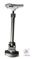 China DJ61F-50P Cryogenic Globe Valve with PTFE Seal and 5.0Mpa Pressure for LNG LOX LIN LAR Applications for sale