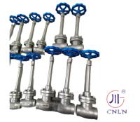 China Cryogenic Globe Valve with 5.0Mpa Maximum Pressure PTFE Seal and CF8/CF3 Valve Body for LNG/LOX Tank Pipes for sale
