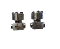 China Cryogenic Check Valve with 320 Mpa Maximum Pressure Stainless Steel 304/316 for Temperature Range -196 to +80°C for sale