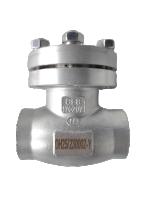 China Stainless Steel 304/316 Cryogenic Check Valve with 5.0Mpa Maximum Pressure for -196°C to +80°C Temperature Range for sale