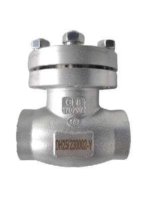 China Stainless Steel 304/316 Cryogenic Check Valve with 5.0Mpa Maximum Pressure for -196°C to +80°C Temperature Range for sale