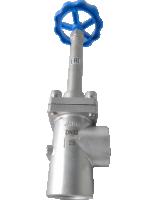 China DN25 Cryogenic Globe Valve Stainless Steel 304/316 with 5.0Mpa Maximum Pressure and -196°C to +80°C Temperature Range for sale