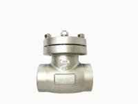 China DN40 PN25 Manual Cryogenic Swing Check Valve 2 Way with 102mm Height and 215mm Length for Industrial Pipeline Systems for sale