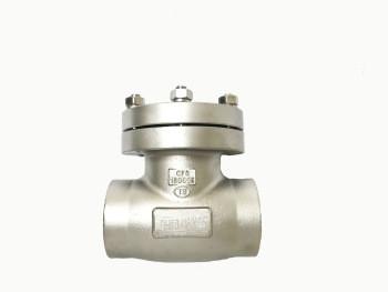China DN40 PN25 Manual Cryogenic Swing Check Valve 2 Way with 102mm Height and 215mm Length for Industrial Pipeline Systems for sale