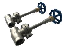 China DN25 to DN200 Flange Type Long-Stem Cryogenic Valve for LNG for sale