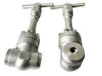 China High Pressure Cryogenic Globe Valve SS304/316 DN15-100mm PN100-PN320 for LNG Applications for sale