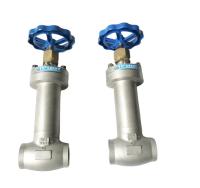 China Low Temperature Insulation Globe Valve Cryogenic Valve CJ61F DN10 - DN250 for sale