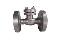 China Flange Cryogenic Check Valve DN10-25mm PN32MPa for LNG LO2 LN2 Applications -196℃ to +80℃ for sale