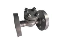 China CF8 Cryogenic Check Valve DN10-25mm PN4.0MPa for LNG and Industrial Gas Systems for sale