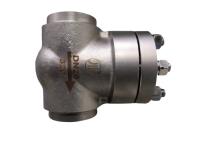 China Low Temperature Welded Stainless Steel Check Valve DN25mm 32.0MPa for Cryogenic Applications -196℃ to +80℃ for sale